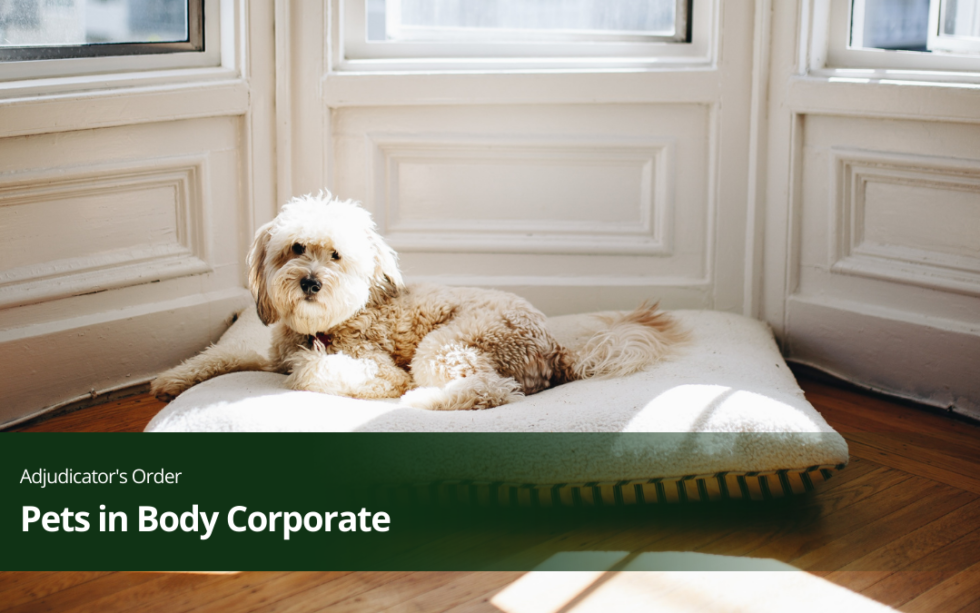 Pets In Body Corporate Hartley s Body Corporate Management Pets In Body Corporate Hartley s Body Corporate Management