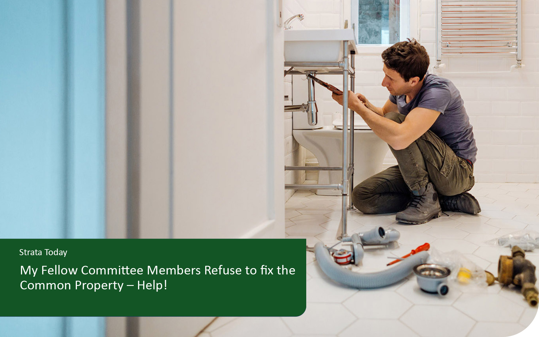 My Fellow Committee Members Refuse to fix the Common Property – Help ...