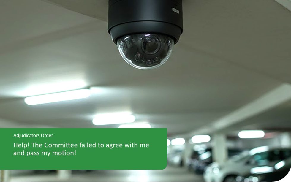 Help! The Committee failed to agree with me and pass my motion ...